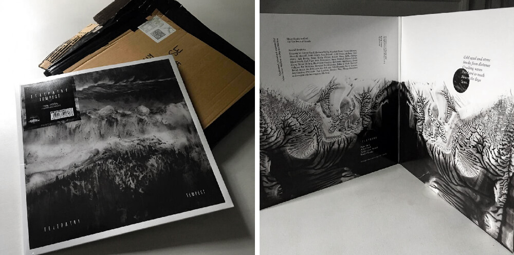 Telepathy’s 2nd album – limited edition vinyl – Seana Reilly